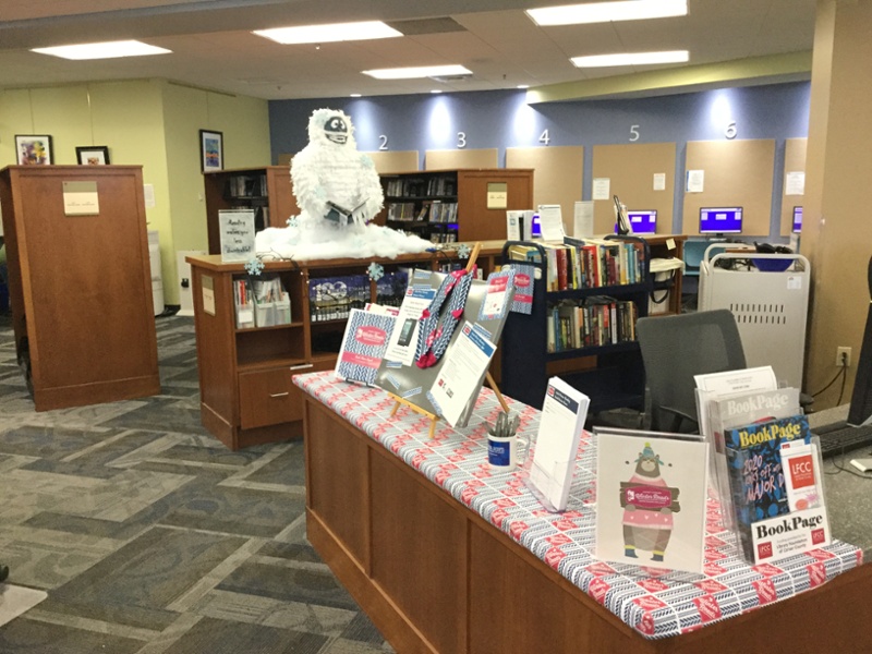 Winter Reads – Metropolitan Library Service Agency (MELSA)
